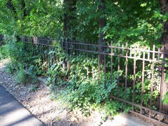 65th Street Transverse Road Bridge (BIN 2246100)