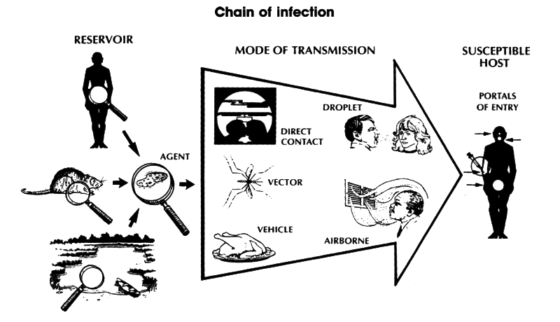 Public Health and Infectious Disease